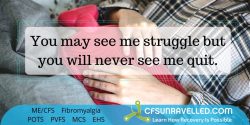Is it Lyme Disease or Fibromyalgia Syndrome & ME CFS?