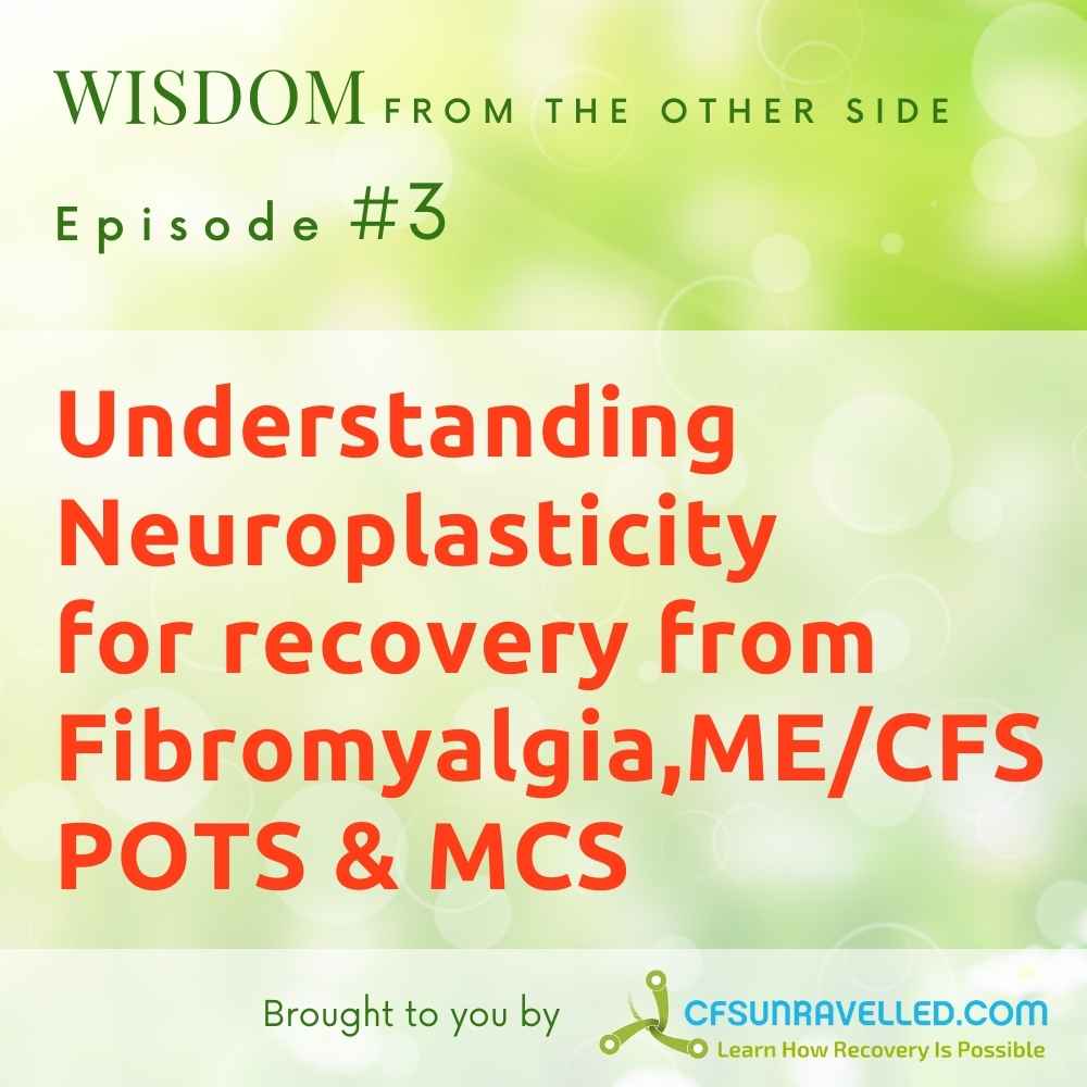 Episode 3: Understanding Neuroplasticity for recovery from Fibromyalgia ME/CFS POTS & MCS