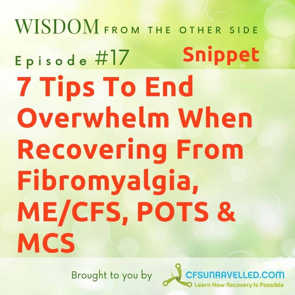 Episode 17: Snippet 7 Steps To End Overwhelm Regarding ME/CFS, Fibro, POTS, MCS Treatments ...